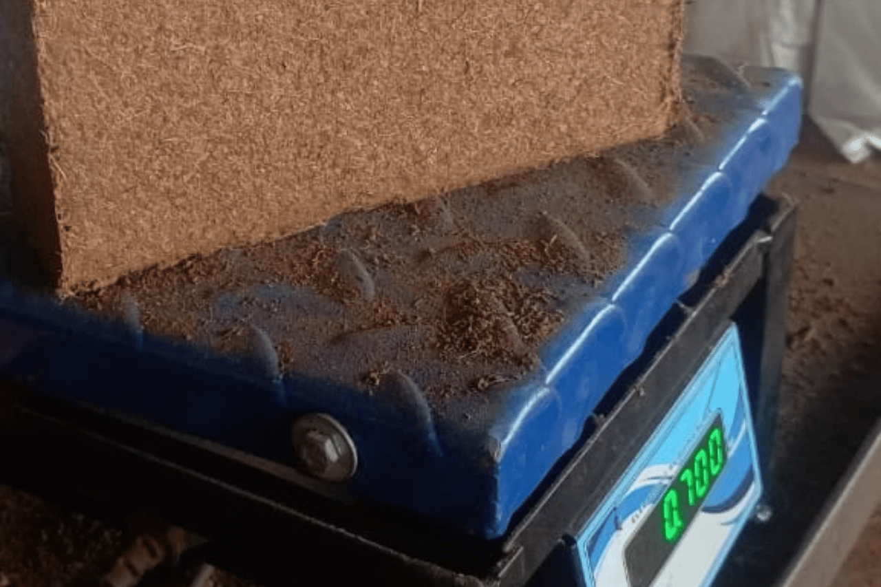 Coco Peat Bricks | chigurali.com
